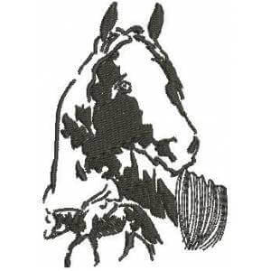 Matriz de Bordado country 33 em Vários Tamanhos | E-Bordados